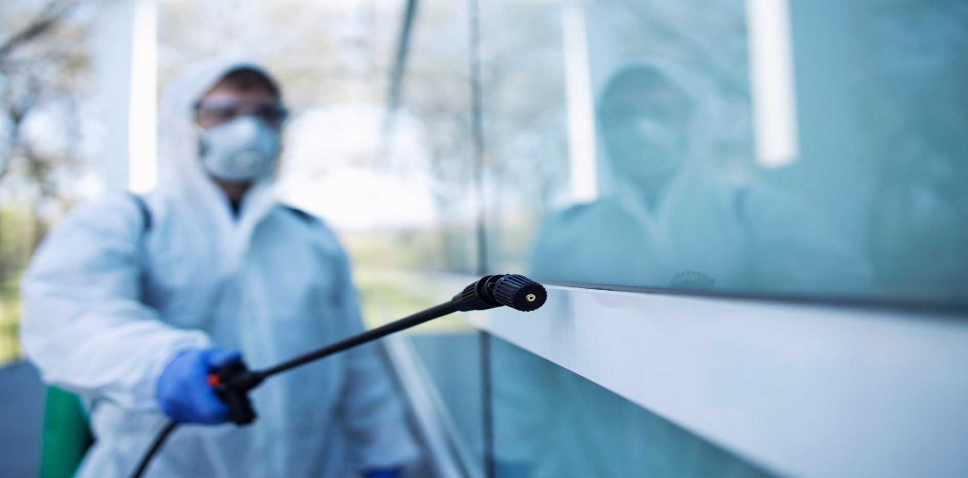 Effective Bed Bug Removal Al Ameen Pest Controls Solutions